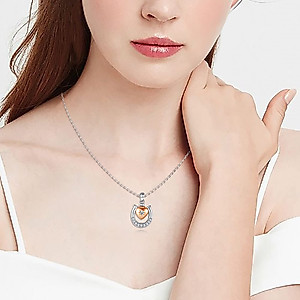 Hioed Horseshoe Urn Pendant Necklace for Ashes 925 Sterling Silver Lucky Charm Memorial Keepsake Cremation Rose-Gold Jewelry Necklace Ash for Women
