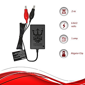 Neptune Power Products Smart Battery Charger NTBC1000 Replacement For Battery Tender Junior 12V Charger/Maintainer: Automatic 12V For Powersports Motorcycle, ATVs, and More (1)