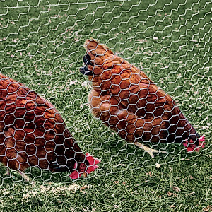 YARDGARD 308494B 2 Foot X 150 Foot 2 Inch Mesh Poultry Netting ( Packaging May Vary )