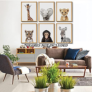 Set of 6 Baby Safari Nursery Wall Decor - Picture Cute Animal Wall Prints on Canvas, under 20 dollars gifts for Baby Boys and Girls Room, UNFRAMED Wall Art(8 x 10 inch)