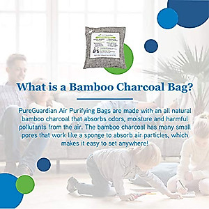 PureGuardian Guardian Technologies CB200 Bamboo Charcoal Air Purifying Bag, Eco-Friendly, Naturally Absorbs Odors, Excess Moisture and Pollutants, 200g, Gray