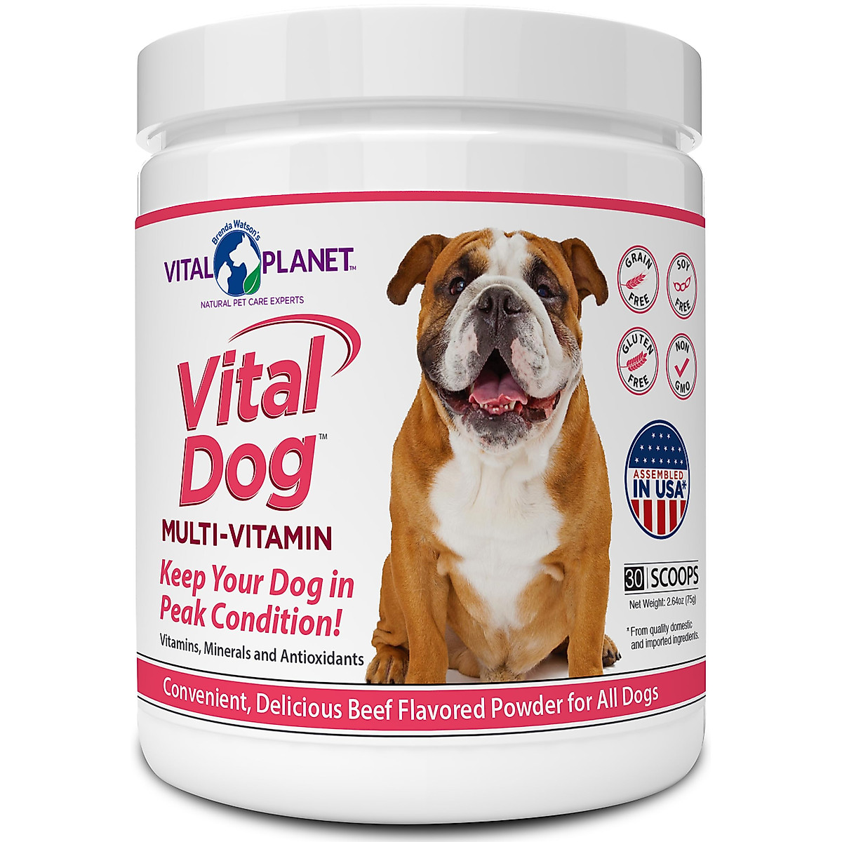 Vital Planet - Vital Dog Multi Vitamin Powder Supplement for Everyday Health with Vitamins, Minerals and Antioxidants for Dogs - Beef Flavored Powder, 30 Servings, 75 Grams