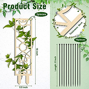 Yalikop 2 Pieces Wooden Small Indoor Trellis Plant Trellis Climbing Plants Hexagon Trellis Potted Plants Trellis Vine Supports Garden Trellises 10 Pieces Black Cable Ties Plant (Moon)