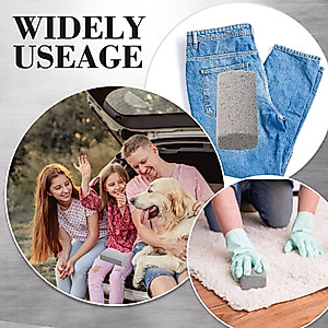 Loopeer 2 Pcs Pet Hair Remover Pumice Stone for Dog Cat Hair Removal Cleaning Pet Fur Stone 6 Inch Dog Fur Cleaning Tool for Car Interior Bedding Carpet Couch Furniture(3.74 x 2 x 1.6 in)