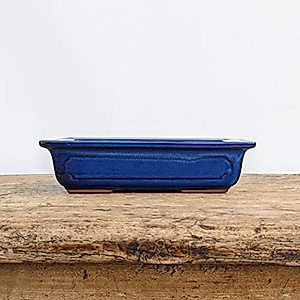 Bonsai Pots for Decorative Planting, Nine-Inch Blue Glazed Bonsai Planter, Drainage Mesh Screen Included, Used as Starter Ceramic Pots for Bonsai, Succulents or a Wide Variety of Houseplants