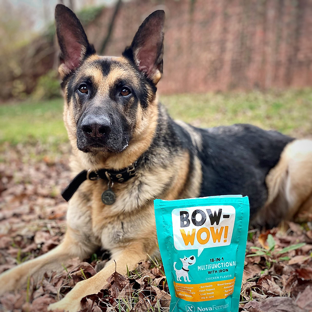 NovaFerrum Bow Wow | 18-in-1 Multifunctional with Iron Supplement for Dogs | Blood Support for Anemia | Glucosamine | Probiotics | Antioxidants | Chicken Flavor | 90 Chews