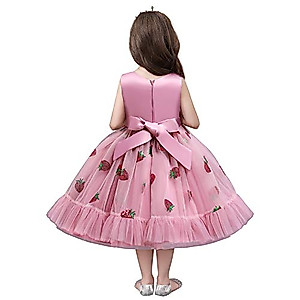 Baby Girls Sleeveless Floral Lace Shiny Strawberry Embroidery Princess Bridesmaid Dress for Baby Flower Ruffles Tulle Communion Baptism Holiday Dance Evening Short Gown Bean Pink 5-6X