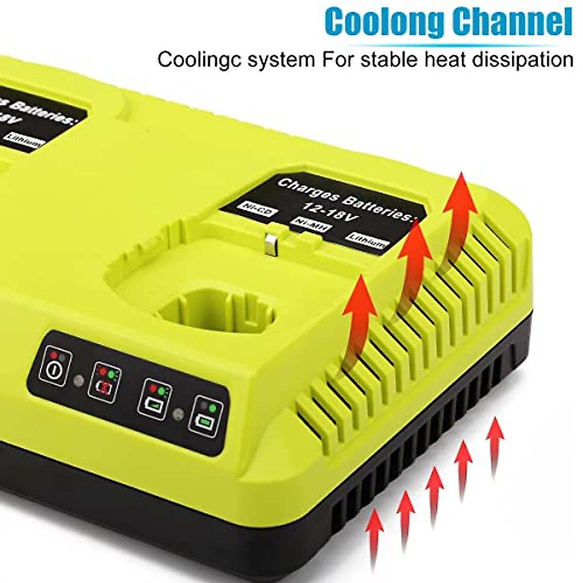 Energup Replacement 2Port P117 Dual Chemistry 18V Battery Charger for Ryobi 18V Battery ONE+ P117 P118 for Ryobi 18V Max Lithium NiCd Battery P100 P102 P103 P105 P107 P108 Ryobi Battery Charger