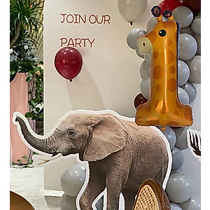 Giraffe 1st Birthday Balloons 40 inch Large Number 1 Balloon Wild 1 Birthday Decorations First Party Supplies for Baby Shower Safari Animals Ballon