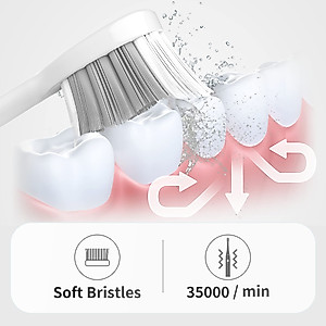 ZXZCTTC 2 Pieces,10 Brush Head High Frequency Electric Toothbrush, IPX7 Waterproof USB Quick Charge, Rechargeable 60 Days(Black/White)