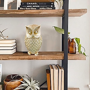 Aobaks Tabletop Fire Pit, Tabletop Fireplace, Gold Owl Shape Table Top Fire Pit Bowl, Personal Fire Pit Indoor Fire Pit for Indoor and Outdoor Use.