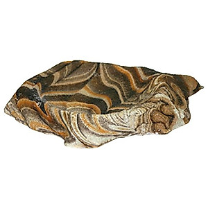Rock Garden Spider Earthtone Bowl, 3.5 x 3 x 0.625"