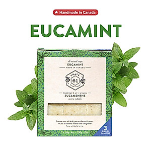Crate 61, Handmade in Canada, Plant Based Cold Process Natural Bar Soap For Face And Body, With Premium Essential Oils, Eucalyptus & Peppermint For Men And Women 3 Pack (Eucamint)