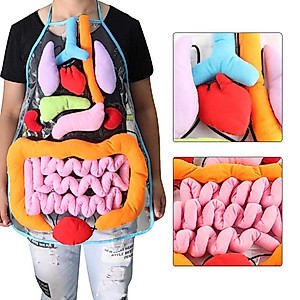 vocheer 3D Organ Apron, Anatomy Apron Human Body Organs Awareness Montessori Educational Tool Toy for Home Preschool Teaching Aid, Transparent…