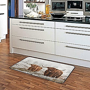 Area Rug Scottish Highland Cow Non-Slip Washable Home Western Decor Indoor Bathroom Kitchen Long Floor Door Mats Festival Party dormate39x20inch