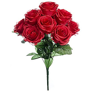 Ashland Michaels Red Rose Bush