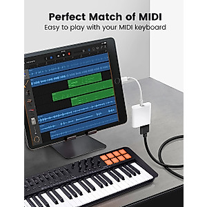 HzyknPower USB Adapter for iPad/iPhone, USB Female Adapter,USB OTG Data Sync Cable,Supports USB Flash Drives,Memory SD Card Readers,MIDI Players,Mouse Keyboards,Plug&Play