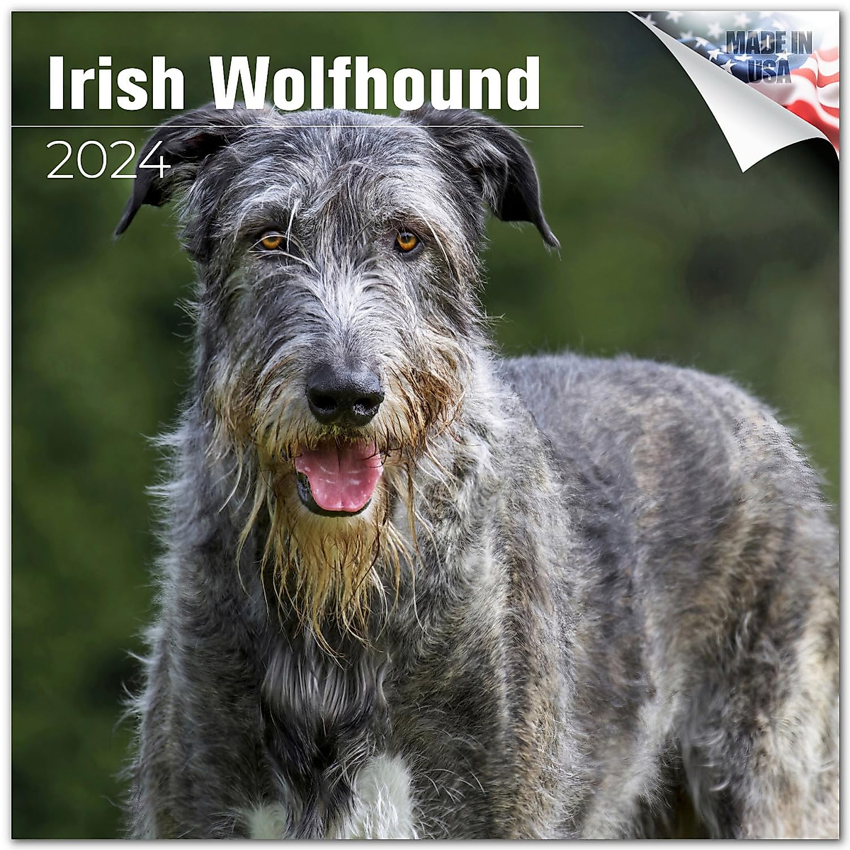 2023 2024 Irish Wolfhound Calendar - Dog Breed Monthly Wall Calendar - 12 x 24 Open - Thick No-Bleed Paper - Giftable - Academic Teacher's Planner Calendar Organizing & Planning - Made in USA