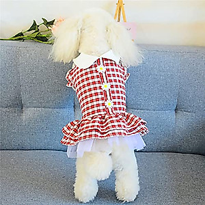 Dog Clothes for Large Dogs Girl Dress Fashion Cute Pet Print Skirt Breathable Summer Comfortable Puppy Girl Dog Shirts for Small Dogs (Small, Red)