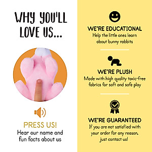 My Bunnies Plush Toy Set | Includes 4 Talking Fluffy Rabbits | Gray, Tan, Pink, and Black Bunnies with A Plush Carrot Shaped Carrier | Great Gift for Baby and Toddler Girls or Boys