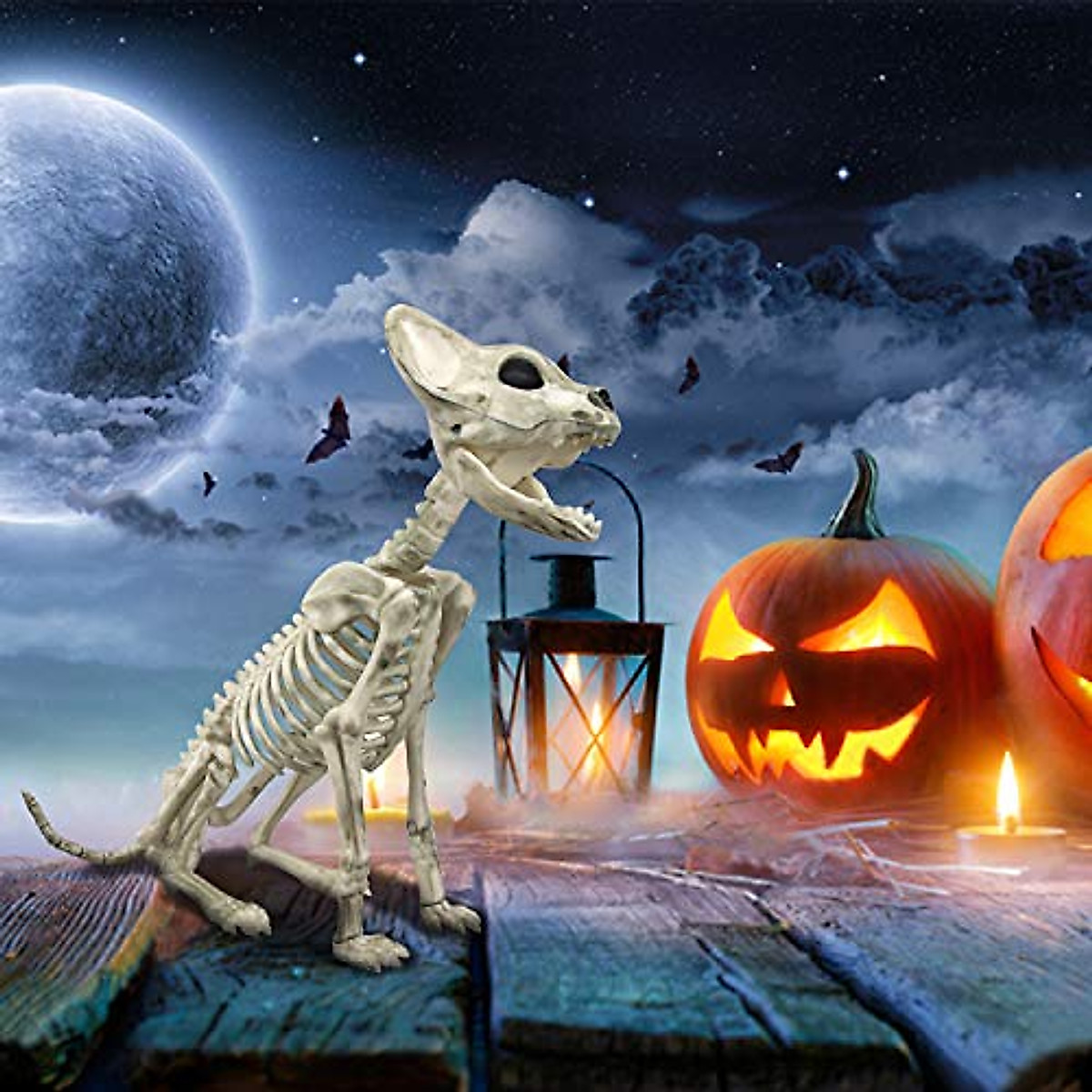 MAKEATREE Halloween Decoration Mini Skeleton Cat Kitten, Plastic Crouching Sitting Cat Bones for Pose Skeleton Prop Indoor Spooky Scene Haunted House Party Favors Décor