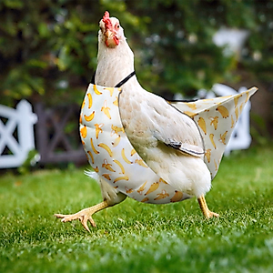 craftshou 3 Pcs Duckling Chicken Diaper Washable Reusable Goose Clothes Farm Pet Diapers Bow Tie Ducky Diapers Supplies for Poultry