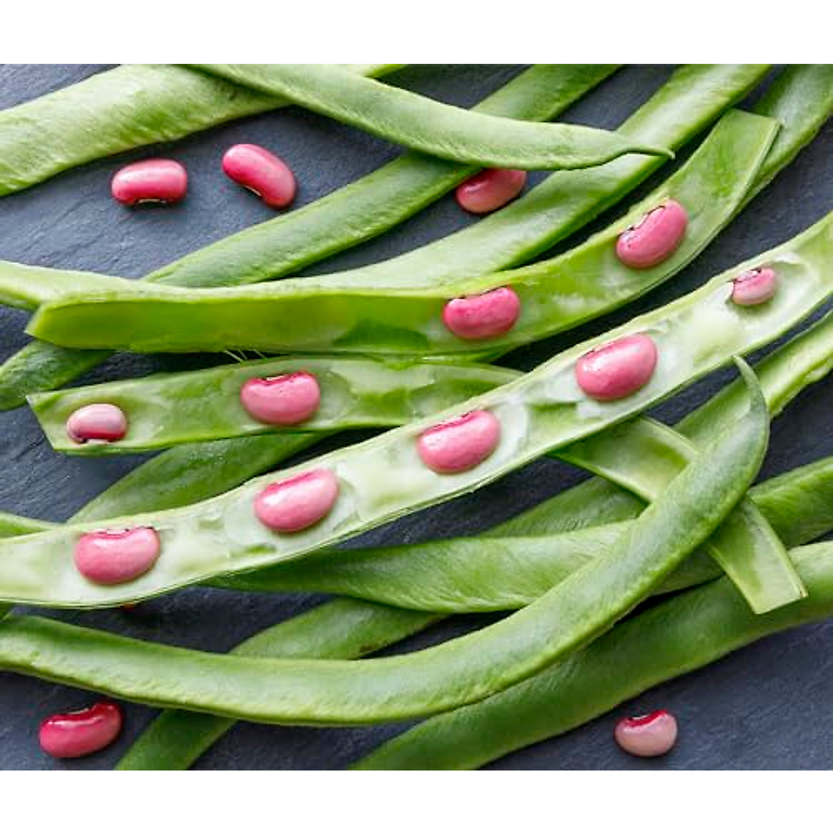 Heirloom Scarlet Runner Beans Seeds - 20 Large Bean Seeds Non GMO - Marde Ross & Company ®