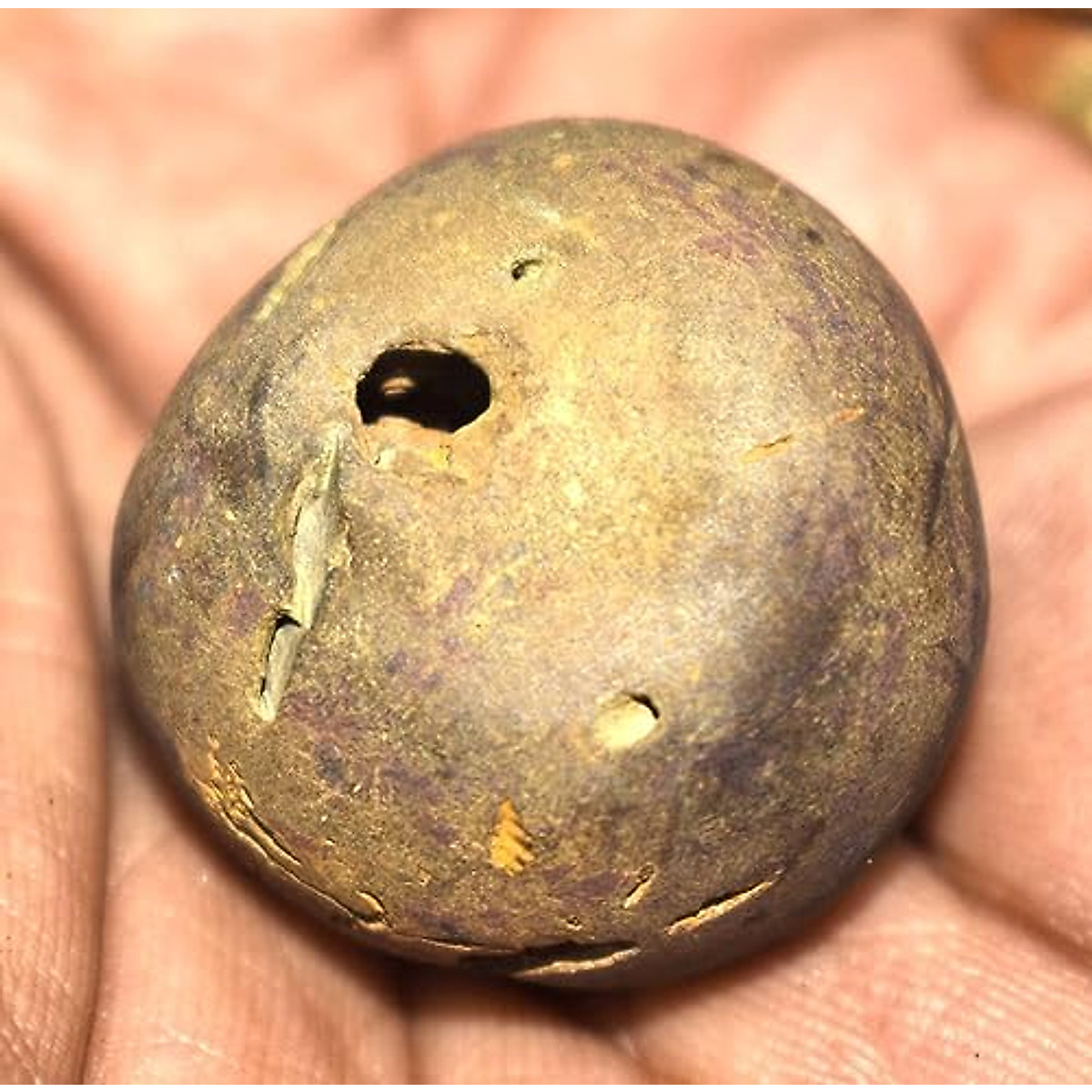 Rare Pitambara Shaligram - Gandaki River Nepal