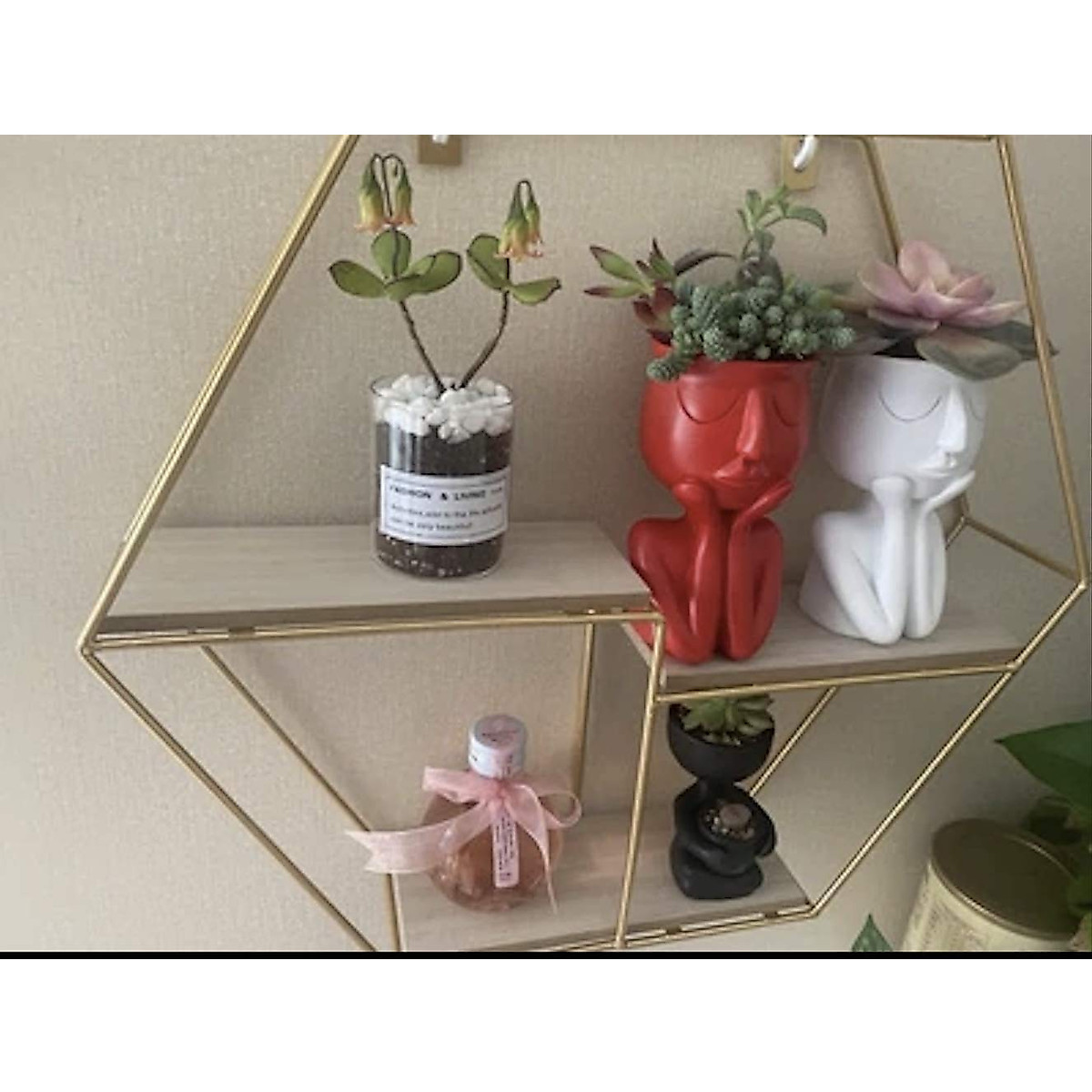 Creative Art Portrait Sculpture Vase Flower Pot Garden Storage Abstract Character Succulents Plant Pot Micro Landscape Decor for Mother's Day (Resin, Red)