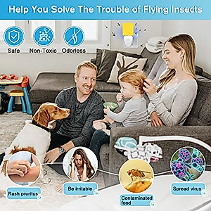 Flying Insect Trap Plug-In, Upgrade Gnat Traps for House Indoor, Safe Non-Toxic Gnat Fruit Fly Killer Trap UV Light Attractant Bug Zapper Indoor Bug Light Trap with Sticky Pad for Flies, Gnats -1 Pack