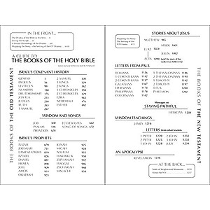 NIV, Holy Bible, Larger Print, Paperback