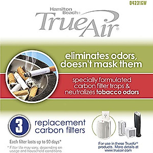 Hamilton Beach 04231GW, 3 Count (Pack of 1)