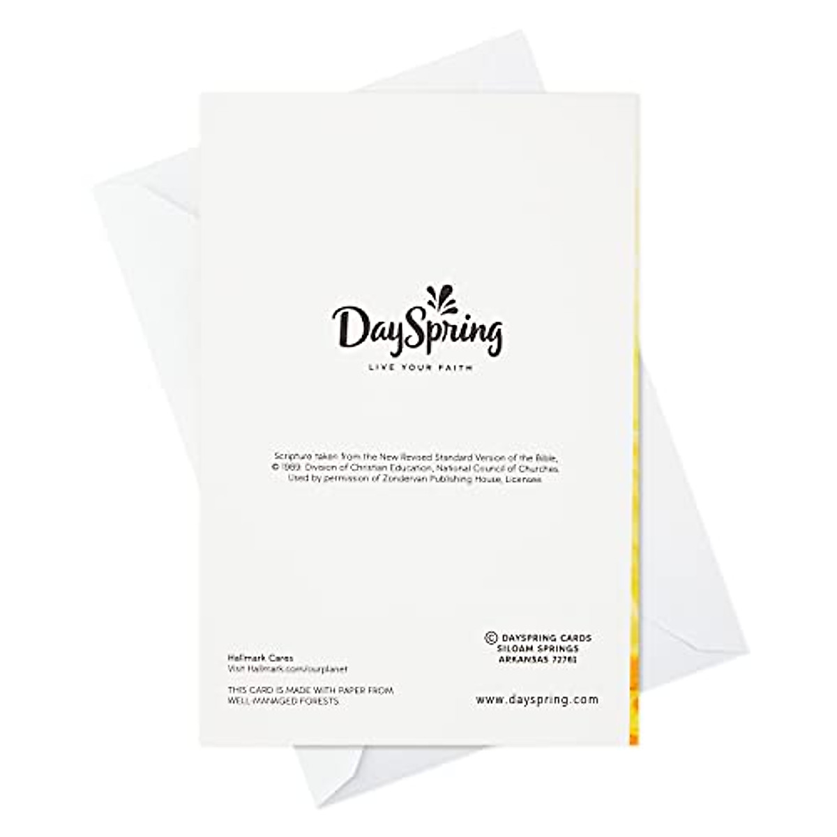 Hallmark Dayspring Religious Easter Cards Pack, Daffodils (8 Cards with Envelopes)