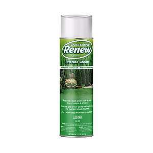 Seymour Grass and Shrub Renew Spray Paint and EnviroColor 4Evergreen Grass & Turf Paint