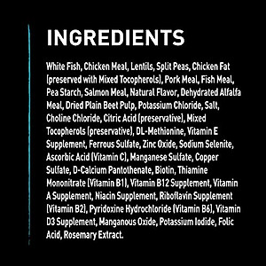 CRAVE Grain Free High Protein Adult Dry Dog Food, White Fish & Salmon, 22 lb. Bag