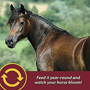 Farnam Laser Sheen Skin & Coat Supplement for Horses, Promotes Healthy Skin & Radiant Coat from The Inside Out, 7.5 Pound, 60 Day Supply