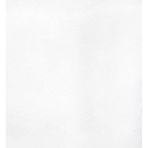 Cozy Bed Euro Throw Pillows Insert (Pack of 2, White) 26 x 26 Inches (Suitable for 25-27 pillowcase.), Bed Pillows for Sleeping European Size, Bed and Couch Pillows, Decorative Pillows