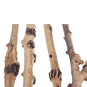 emours Reptile Décor Natural Forest Branch Terrarium Wood Aquarium Ornament, 4 Pack