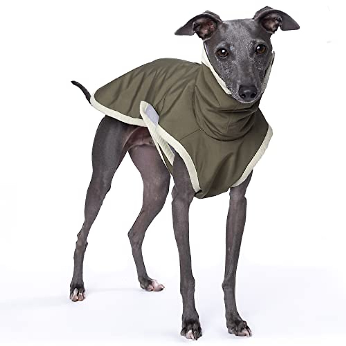 Yigi Turtleneck Jacket with Harness Opening, Fleece Lining- Warm, Adjustable, Lightweight, Breathable Sweater Jacket for Italian Greyhound (Large) Sage Green