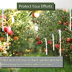 Kugge Bird Flash Tape (2in,360ft), Double Side Reflective Tape, Protect Your House, Garden, Orchard