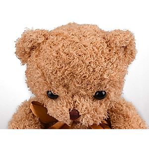 AnSun Teddy Bear 12” Plush Bear I Love You,Stuffed Bear for Girls Kids, Baby Shower/Birthday/Anniversary