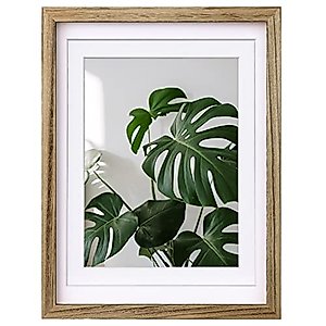 Egofine 12x16 Picture Frame with Plexiglass Made of Solid Wood, Display Pictures 9x12/11x14 with Mat or 12x16 Without Mat for Tabletop and Wall Mounting, Carbonized Brown