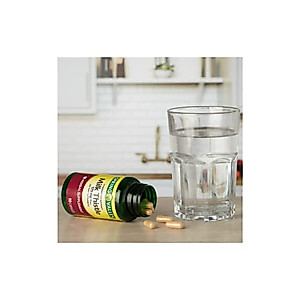 Spring Valley Standardized Extract Milk Thistle 175 mg, 90 Count + STS Fridge Magnet.