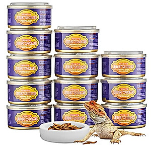NO 24 Oz Premium Canned Steamed Juicy Mealworms for Reptiles, Amphibians, Birds -an Alternative to Live Meal Worms for Bearded Dragon,Wild Birds etc