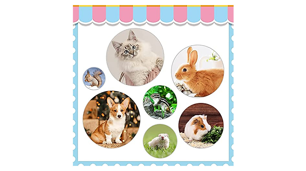 KALAMANDA 6-in-1 Rabbit Grooming Kit w/ Brush & Clipper