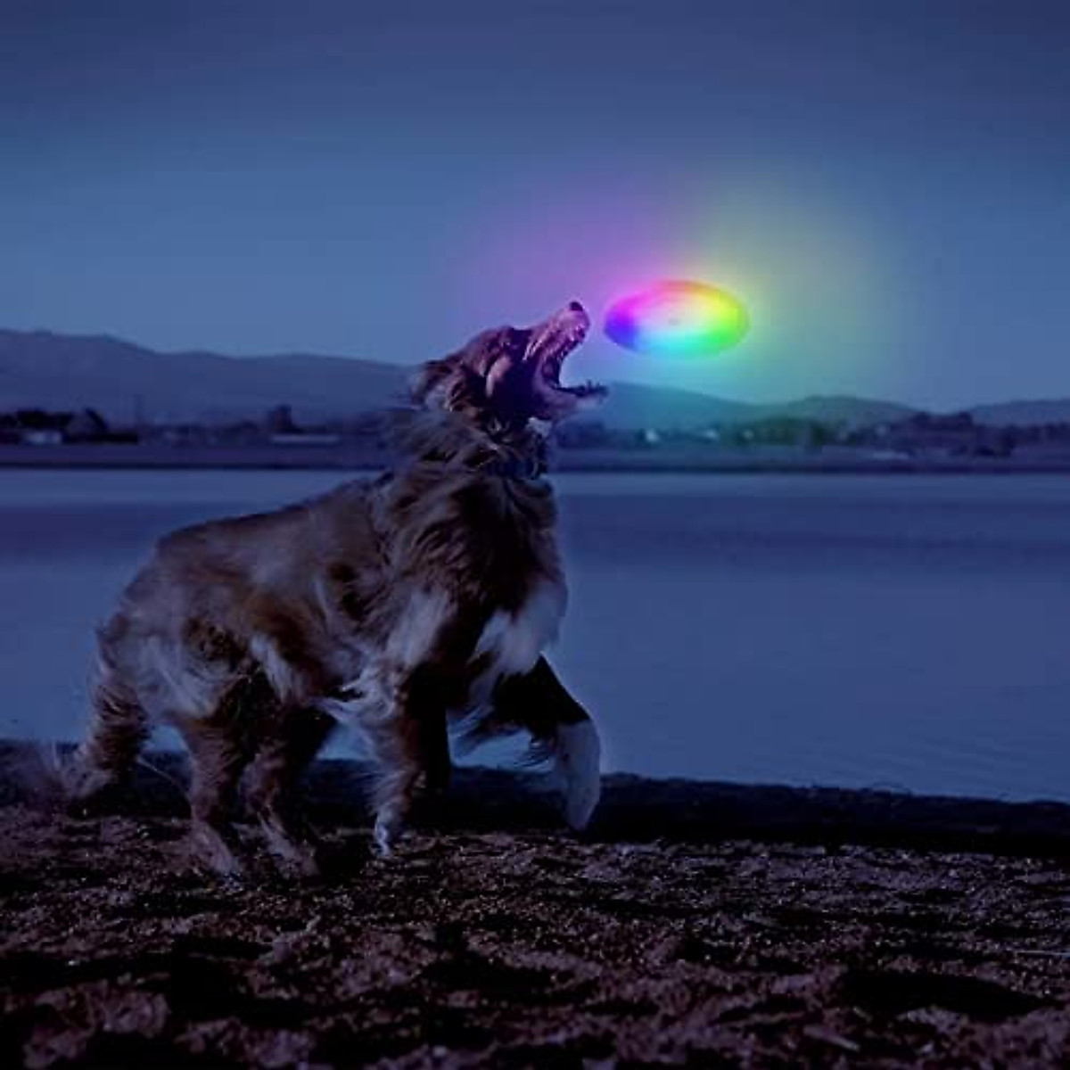 Nite Ize Flashflight LED Dog Discuit - Best Dog Flying Disc For All Hours of Play - With Long-Lasting LED Light, 1-Pack Multi-Colored Disc-O (FFDD-07-R8)