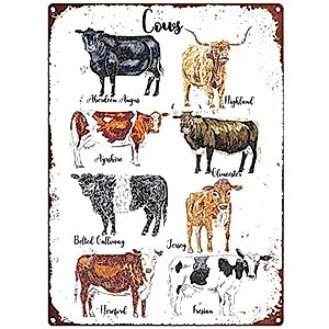 Metal Tin Signs Vintage Metal Sign Letters Cow Breeds Print, Cow Print, Cow Metal Sign, Cattle Breeds, Farm Animals Personalized Metal Signs for Home Decor