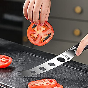 TUO Cheese Knife 5 inch - Tomato Knife Serrated Edge Fruit Knife - German Steel Hollow Blade - Full Tang Pakkawood Handle - FALCON SERIES with Gift Box