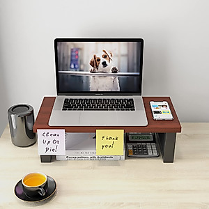 WESTREE Monitor Stand Riser, Desktop Computer Monitor Stand, Multi-Purpose Desk Storage Organizer Shelf for Laptop Computer PC