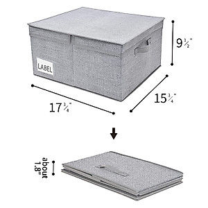 GRANNY SAYS Bundle of 2-Pack Large Rectangle Storage Bins & 2-Pack Closet Storage Bins